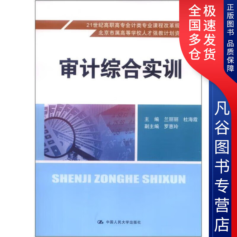 【书】审计综合实训