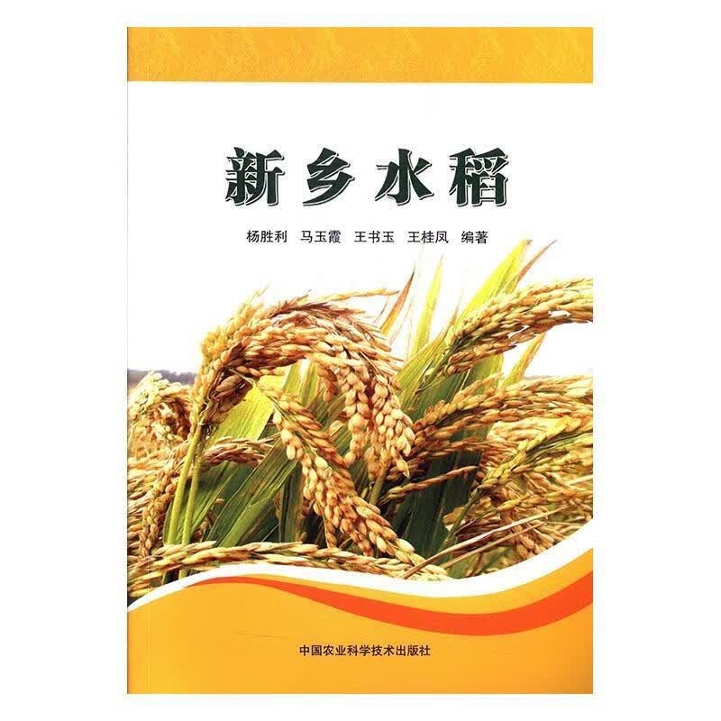 新乡水稻