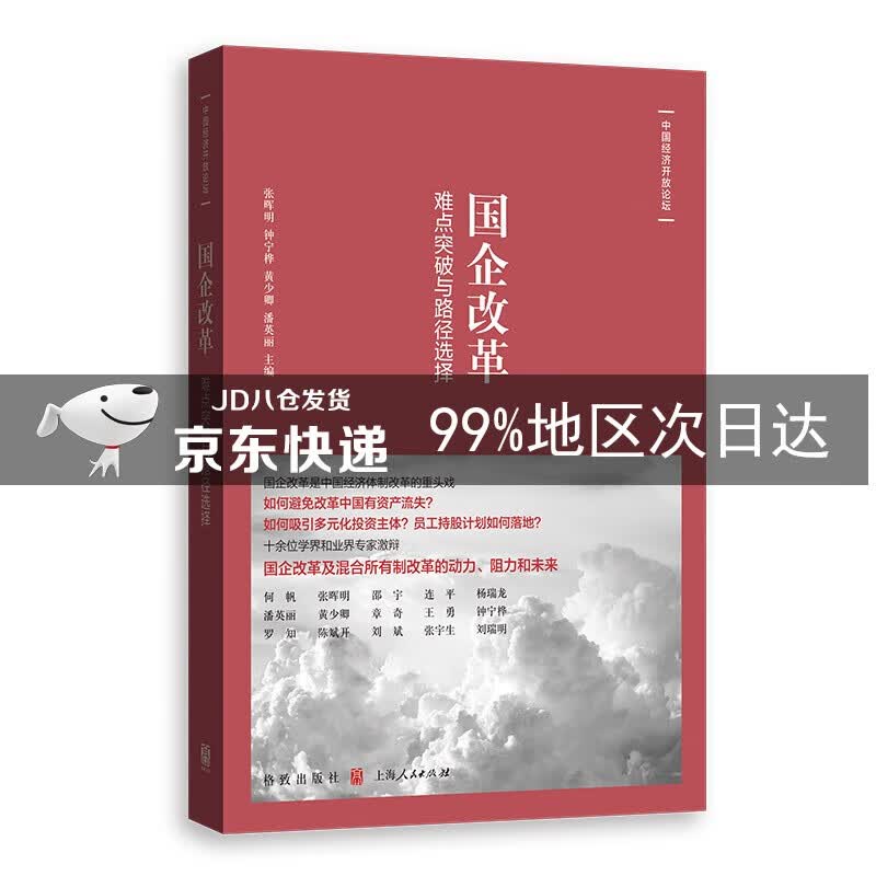国企改革：难点突破与路径选择