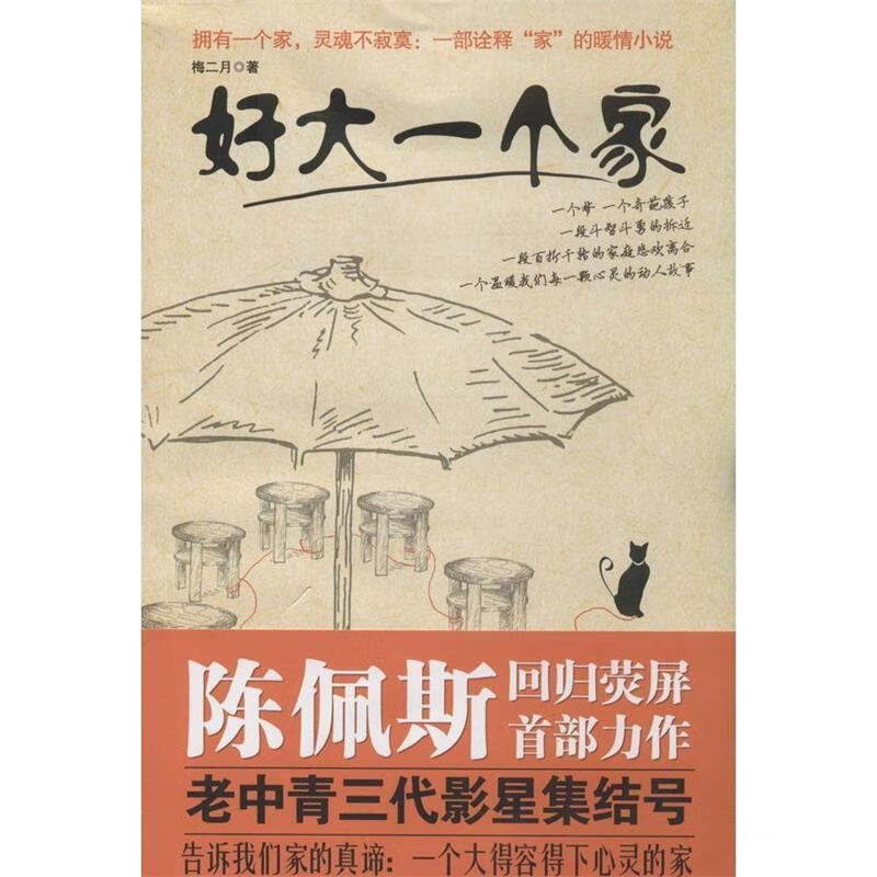 好大一个家 梅二月著【书】
