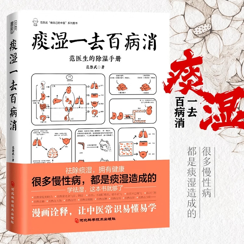 痰湿一去百病消 痰湿治疗方法书籍手册内证观察笔记圆运动的古中医学李可老中医倪海厦石室秘录石室秘 默认规格