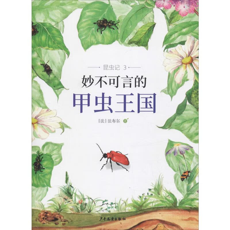妙不可言的甲虫王国