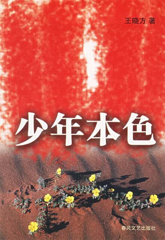少年本色 王晓方 著