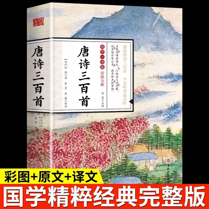 国学一本通 唐诗三百首 初中生高中生必读详析宋词三百首全解诗经原著完整版早教中国古代文化常识中国古诗文经典