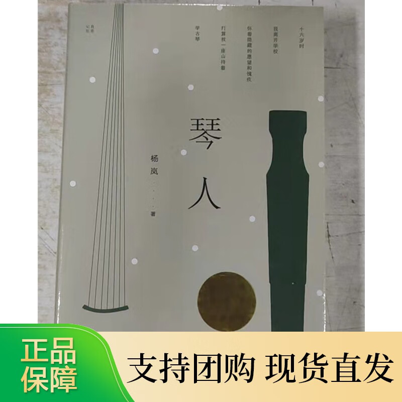 琴人 杨岚 著