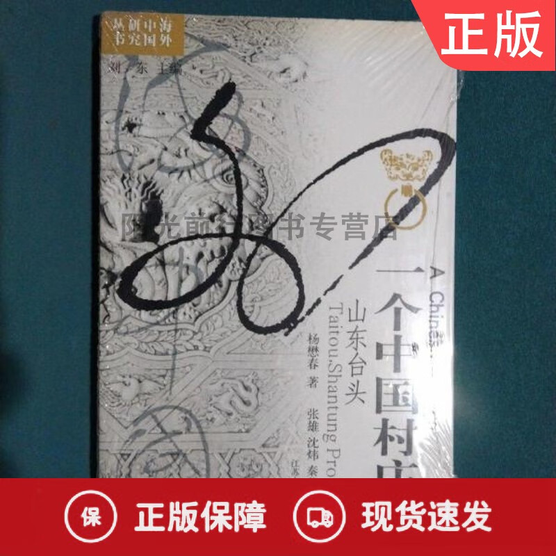 一个中国村庄：山东台头