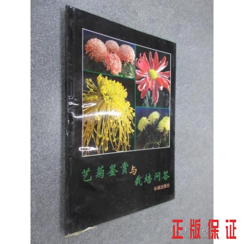 保证 可开发票！！艺菊鉴赏与栽培问答