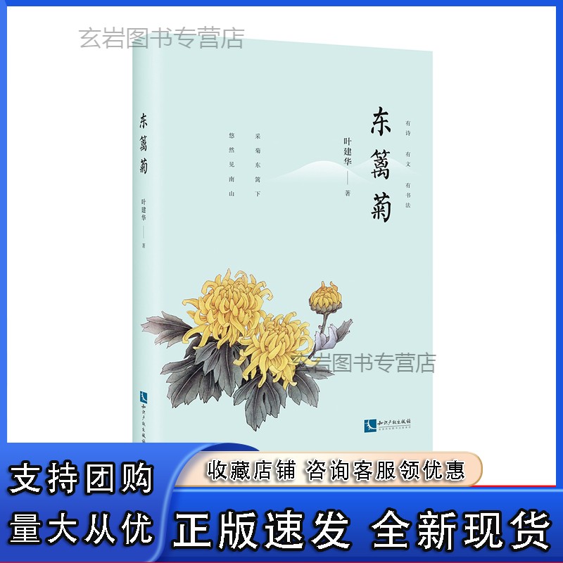 n东篱菊 叶建华 知识产权出版社