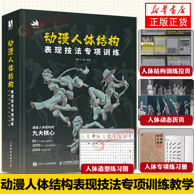动漫人体结构表现技法专项训练  人体结构绘画教程游戏动漫人体结构原理与绘画技法