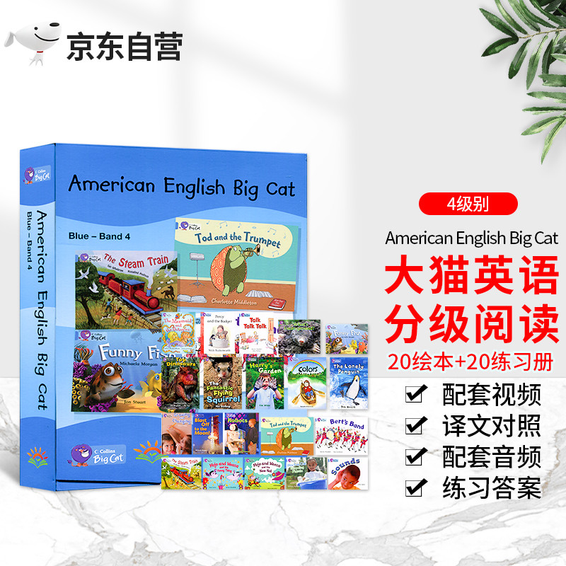 英文进口原版 大猫英语分级阅读 American English Big Cat 4级别 剑桥考试推荐阅读 书+练习册 40册儿童读物