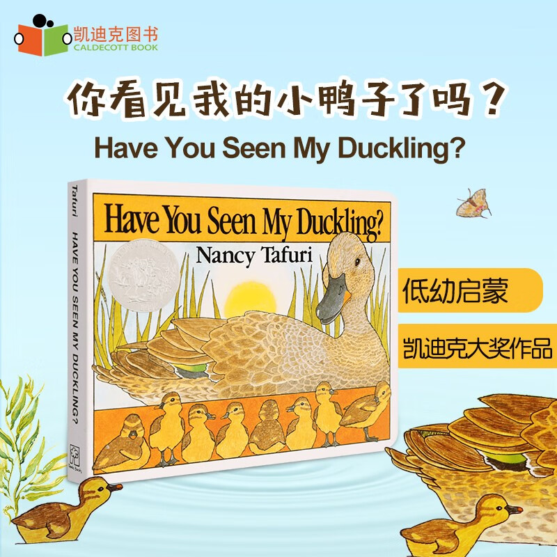 英文原版绘本凯迪克银奖 Have You Seen My Duckling 纸板