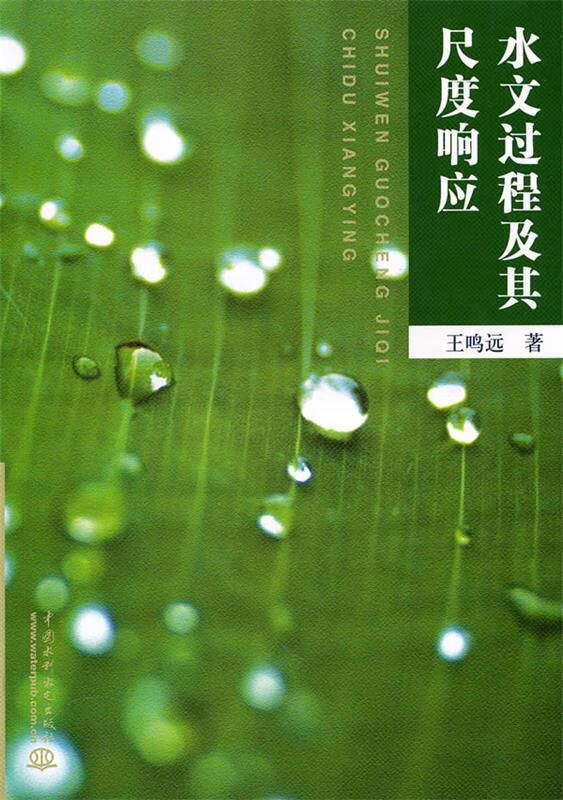 水文过程及其尺度响应 王鸣远著【书】