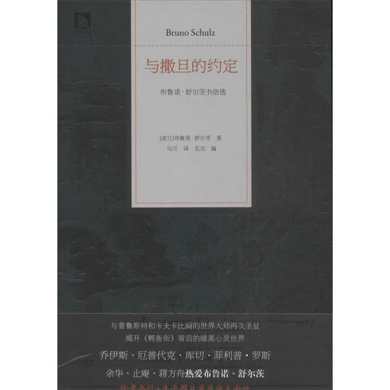 与撒旦的约定:布鲁诺·舒尔茨书信选