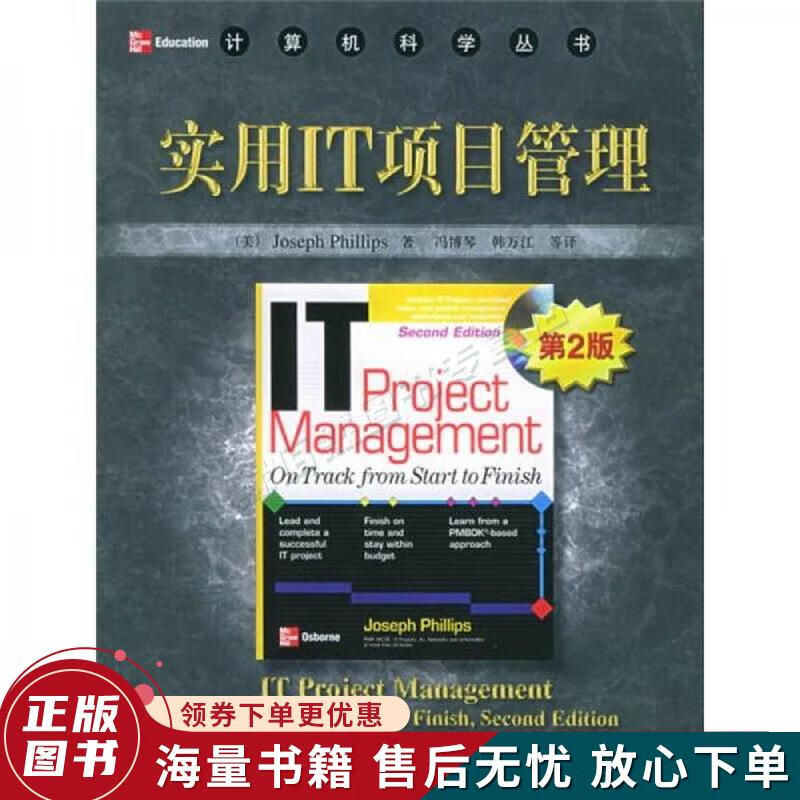 实用IT项目管理