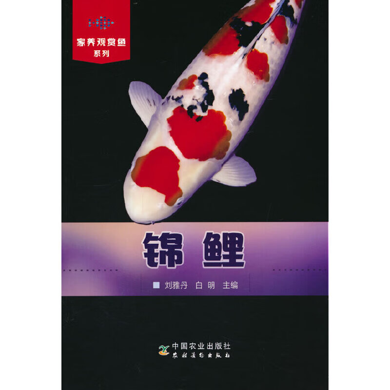 锦鲤(家养观赏鱼系列)