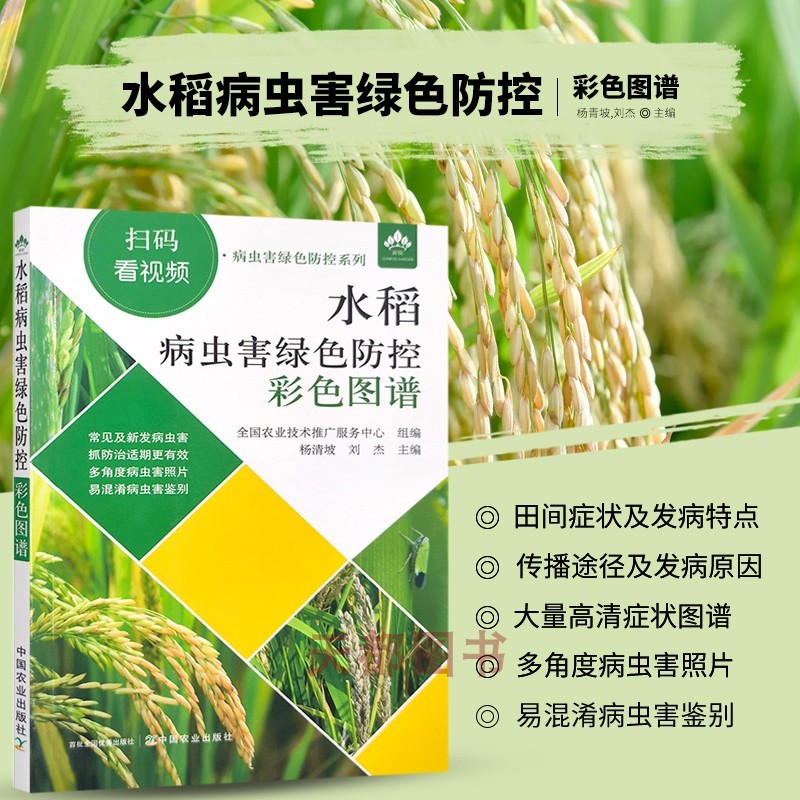 水稻病虫害绿色防控彩色图谱 水稻病虫害防治 水稻病虫害绿色防控 水稻种植技术书籍 水稻病虫害详细讲解 病害发生规律