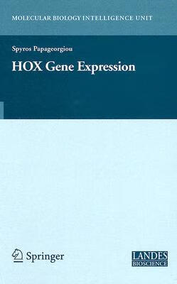 HOX Gene Expression