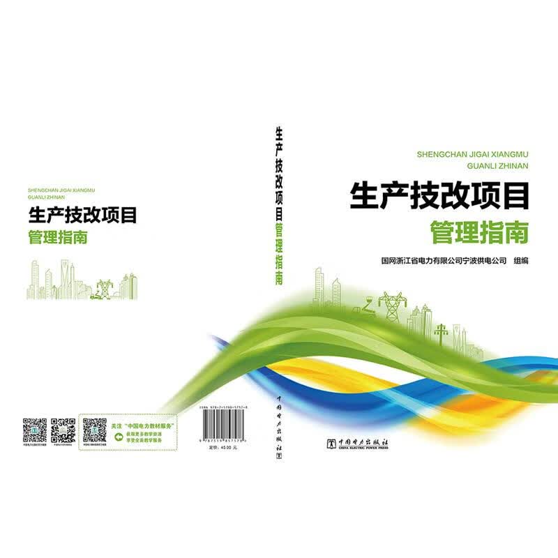 生产技改项目管理指南 图书