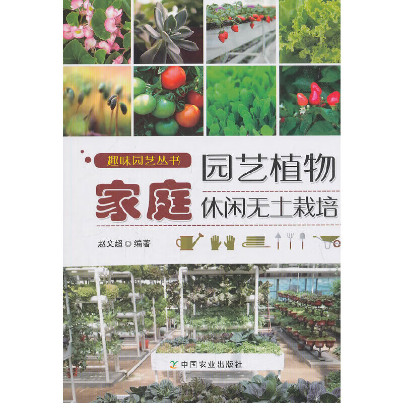 家庭园艺植物休闲无土栽培