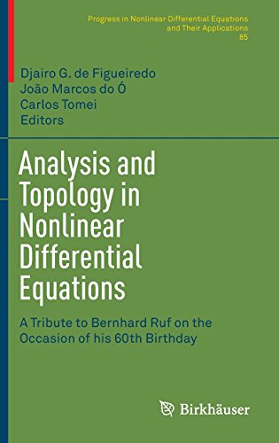 Analysis and Topology in Nonlinear Differential Equations