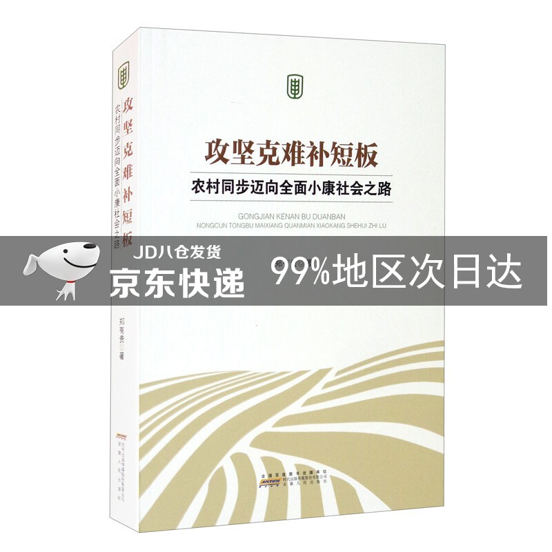 攻坚克难补短板：农村同步迈向全面小康社会之路