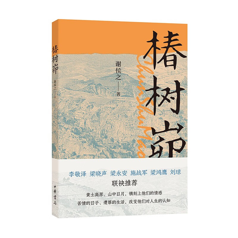 椿树峁（读完本书，让人浮想联翩，虽然《人世间》没有涉及陕北，但还是让人想起《知青》里的赵曙光们在延安窑洞生活的场景。）