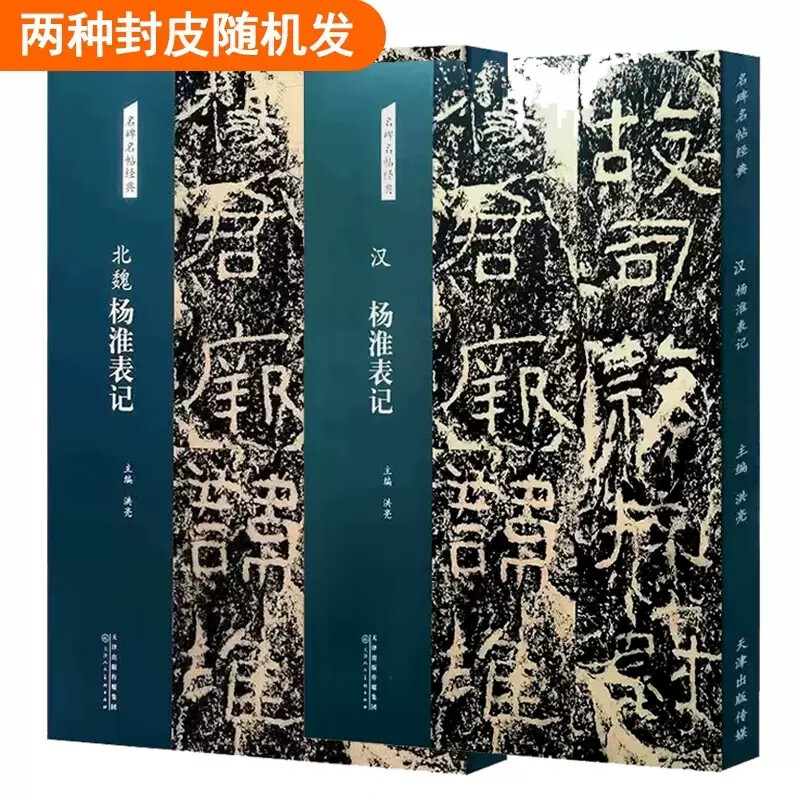 北魏 杨淮表记 隶书字帖 名碑名帖经典系列放大本毛笔书法练字临摹赏析字帖 洪亮主编 天津人民美术出版社