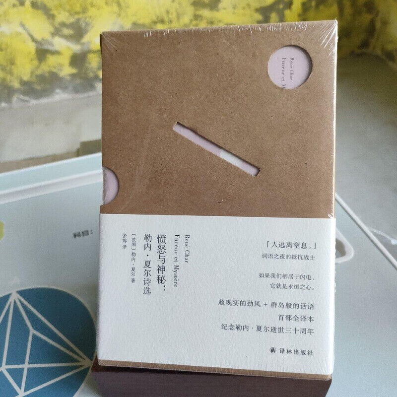 愤怒与神秘：勒内·夏尔诗选