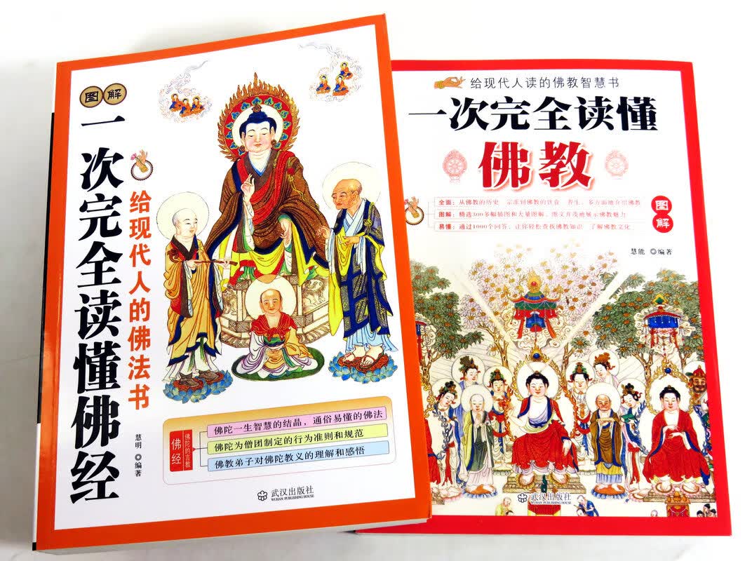 【2册】图解一次完全读懂佛教+佛经 佛经佛学佛教入门基础知识金刚经心经坛经楞严经学禅宗论无量寿经法