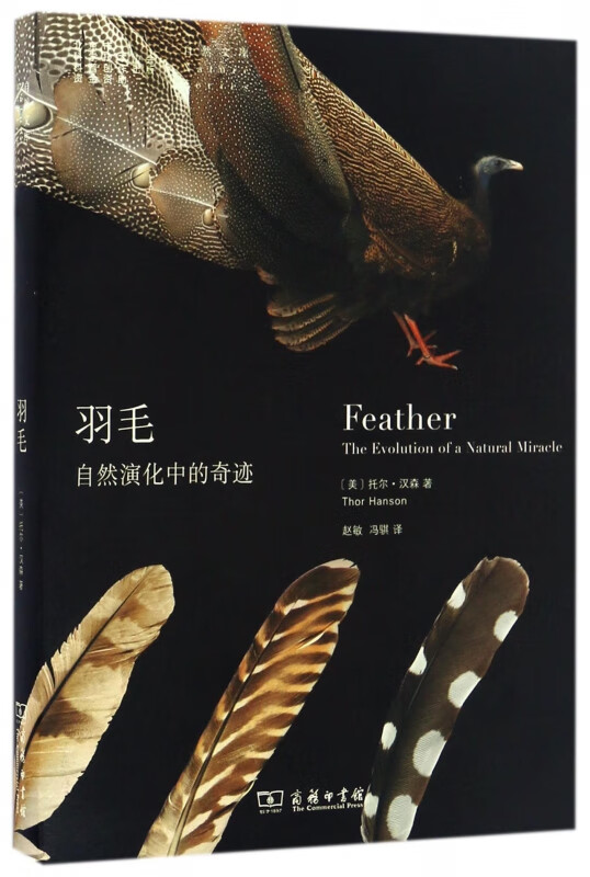 羽毛(自然演化中的奇迹)/自然文库