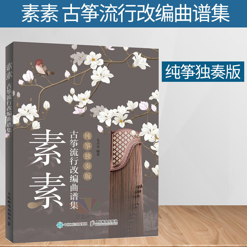 素素 古筝流行改编曲谱集 纯筝独奏版 毛小贝 古筝爱好者书籍流行歌曲古筝独奏改编曲谱集流行网