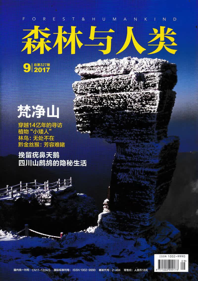 【现货速发】森林与人类2023年1月+2022年10/11月+2021年11月+2020+201 白色