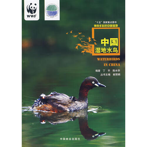 【书】中国湿地水鸟