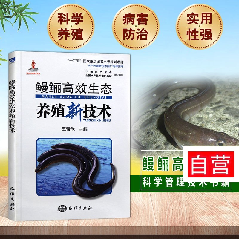 鳗鲡高效生态养殖新技术 鳗鲡鱼苗培育实用技术 鳗鱼养殖技术书籍 图片色 籍 图片色