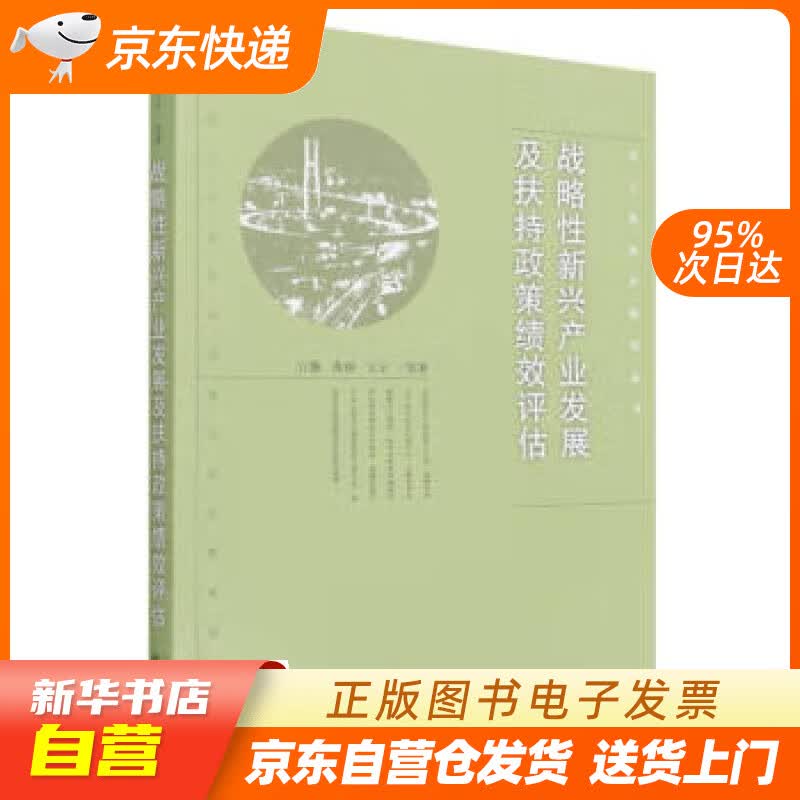 战略性新兴产业发展及扶持政策绩效评估 江静,陈柳,王宇等 著 经济科学出版社