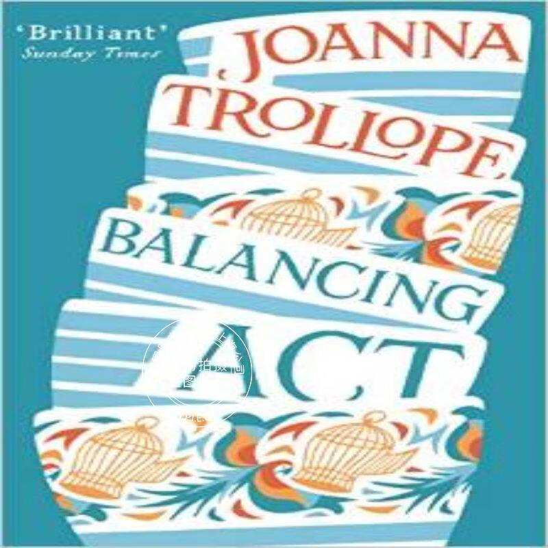 现货 BALANCING ACT 英文原版 协调