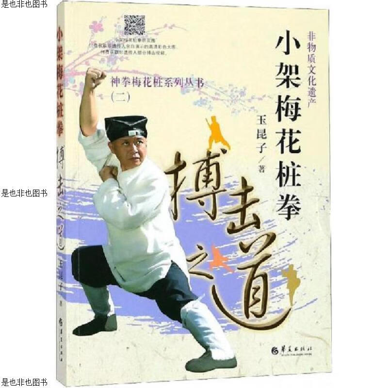 小架梅花桩拳 搏击之道之道