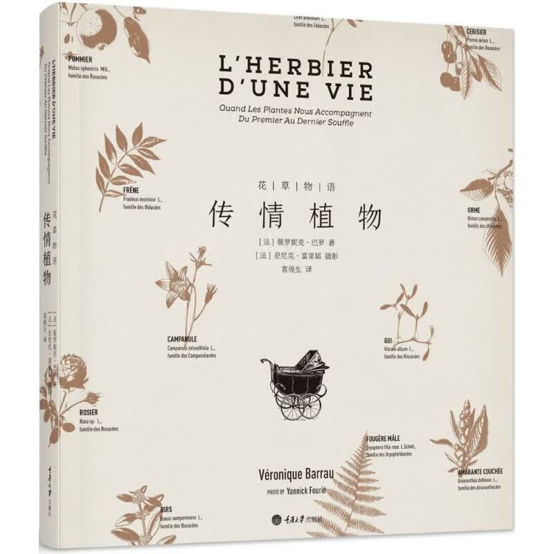 花草物语:传情植物