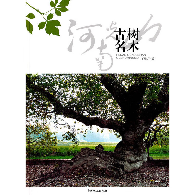 河南光山古树名木(1-1)