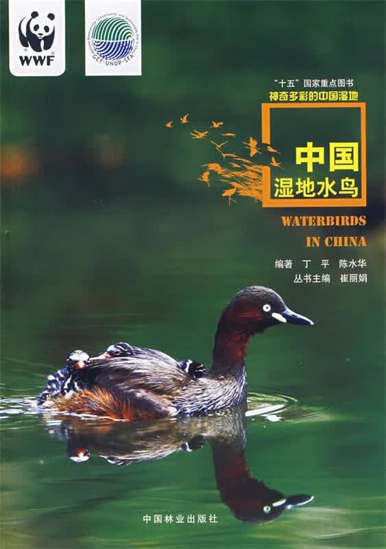 中国湿地水鸟