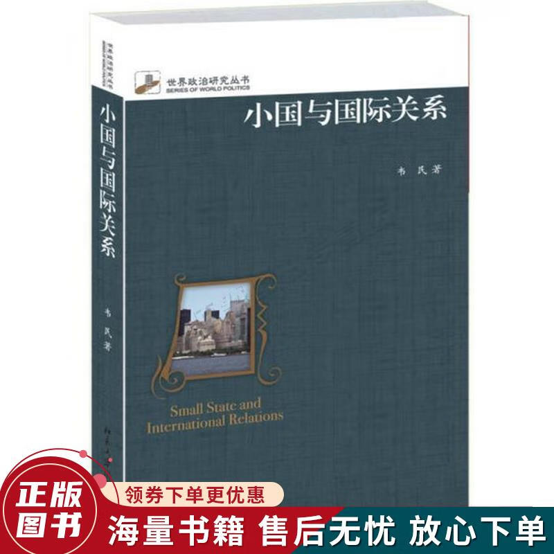 小国与国际关系