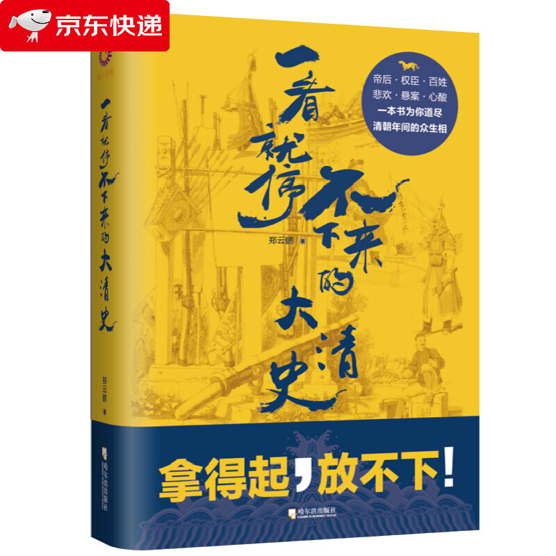 一看就停不下来的大清史 三百年清朝史一本书为你简单说透史学读物 皇帝宫妃朝臣百姓等不同人物的故事