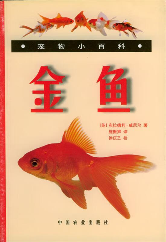 金鱼 宠物小百科 威尼尔【，放心购买】