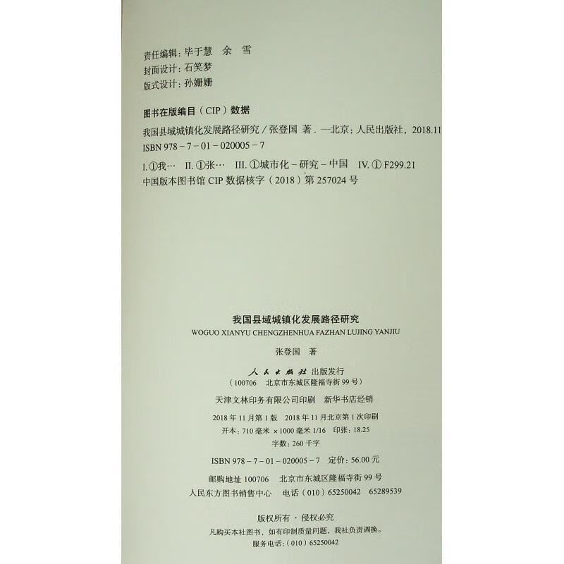 我国县域城镇化发展路径研究