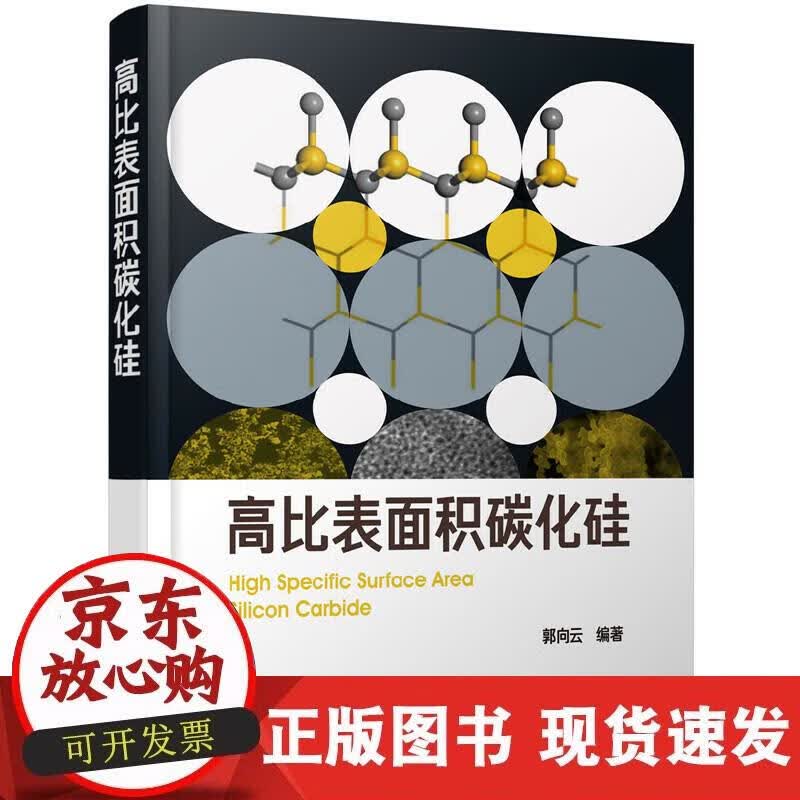 【现货】高比表面积碳化硅
