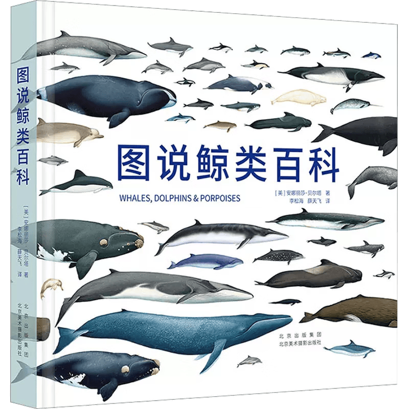 图说鲸类百科讲述鲸类物种的基本信息种群特征分布典型外形潜水次序及海表行为体型大小可辨识特征介绍鲸类书 图说鲸类百科