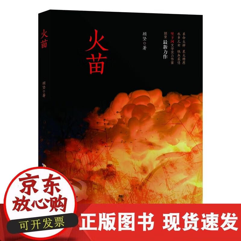 【直发】火苗