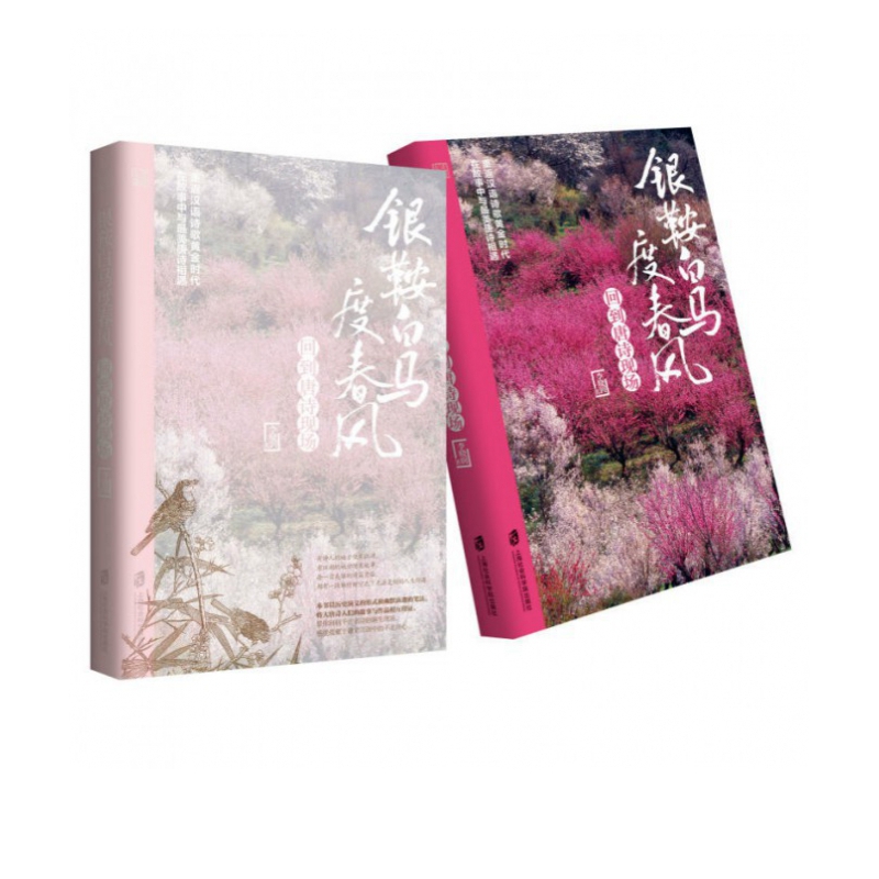 银鞍白马度春风(回到唐诗现场)