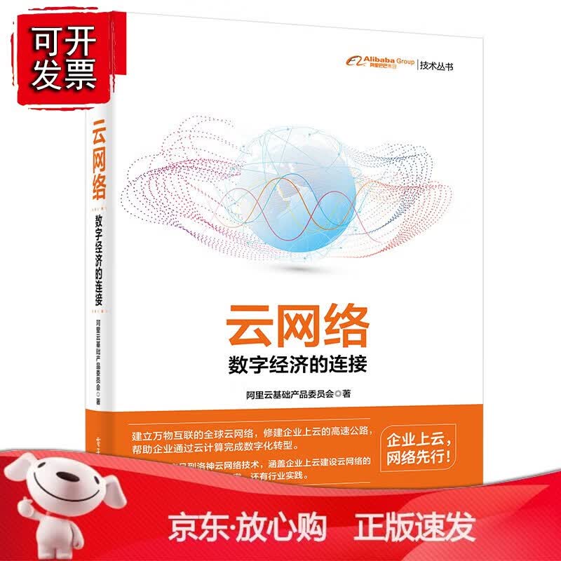 云网络：数字经济的连接（全彩）
