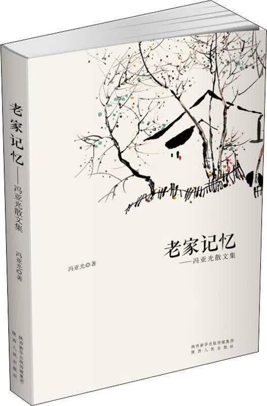 老家记忆【精选】